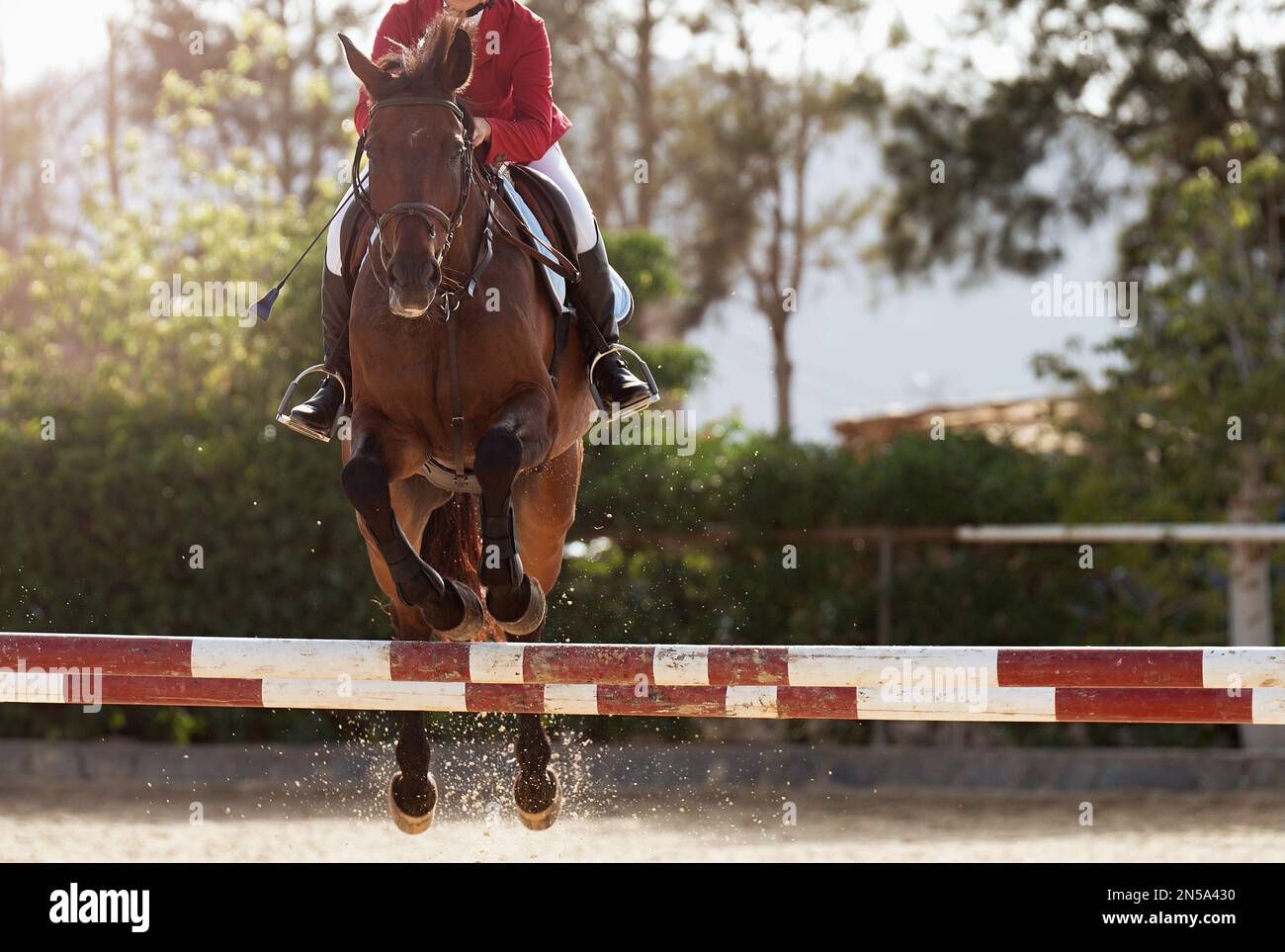 Sport horse jumping over a barrier on a obstacle course, rider in ...