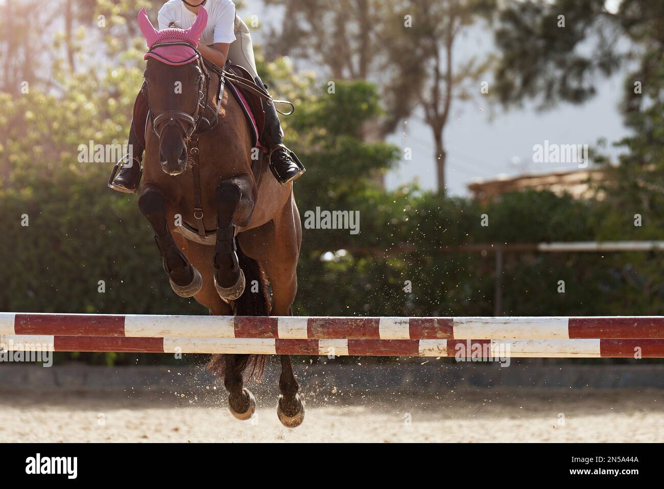 Sport horse jumping over a barrier on a obstacle course, rider in uniform performing jump at ...