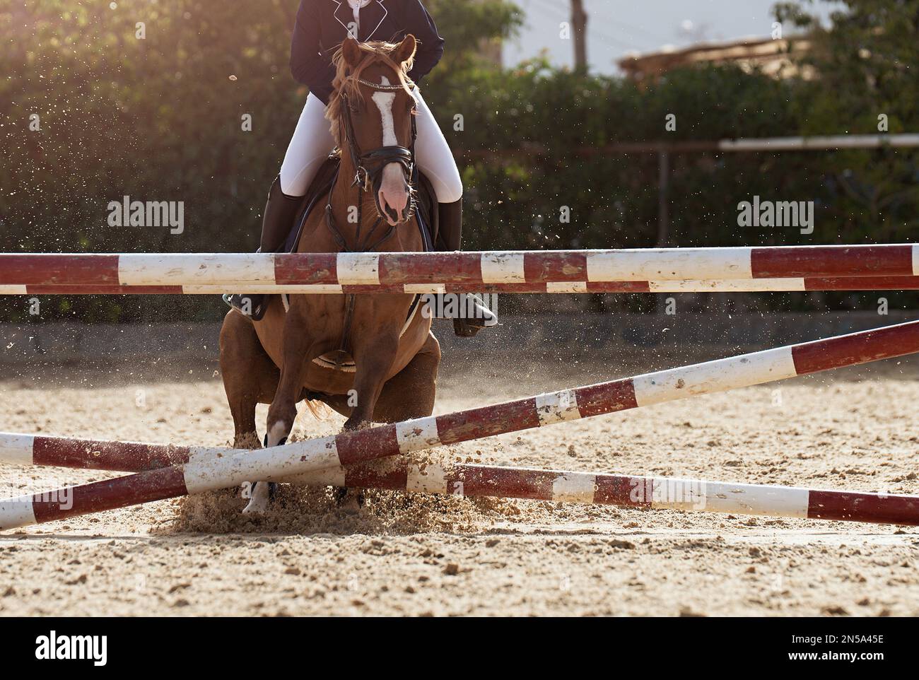 The brown horse is refusing to jump an obstacle, over a jump rider ...