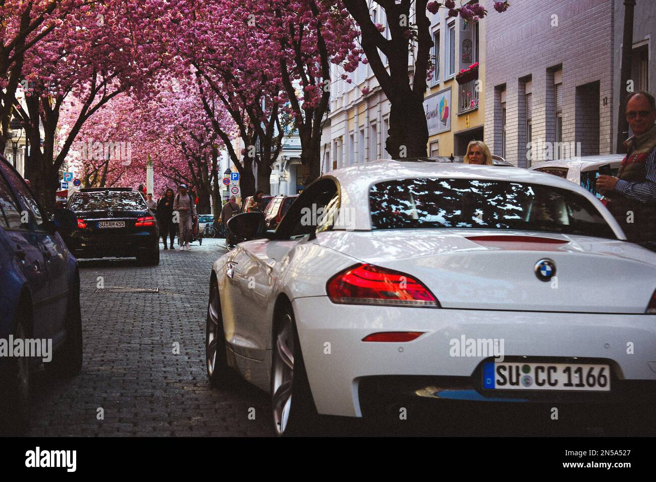The white BMW Z4 drives through the street in Bonn full of cherry ...