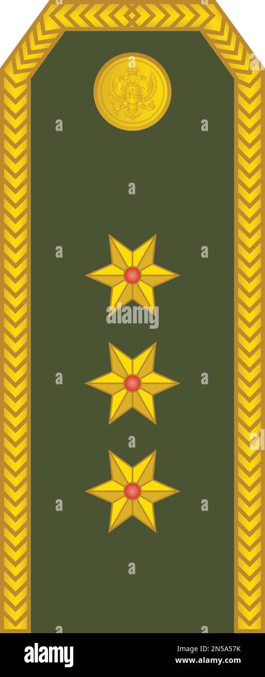 Shoulder pad military officer insignia of the Montenegrin KAPETAN ...