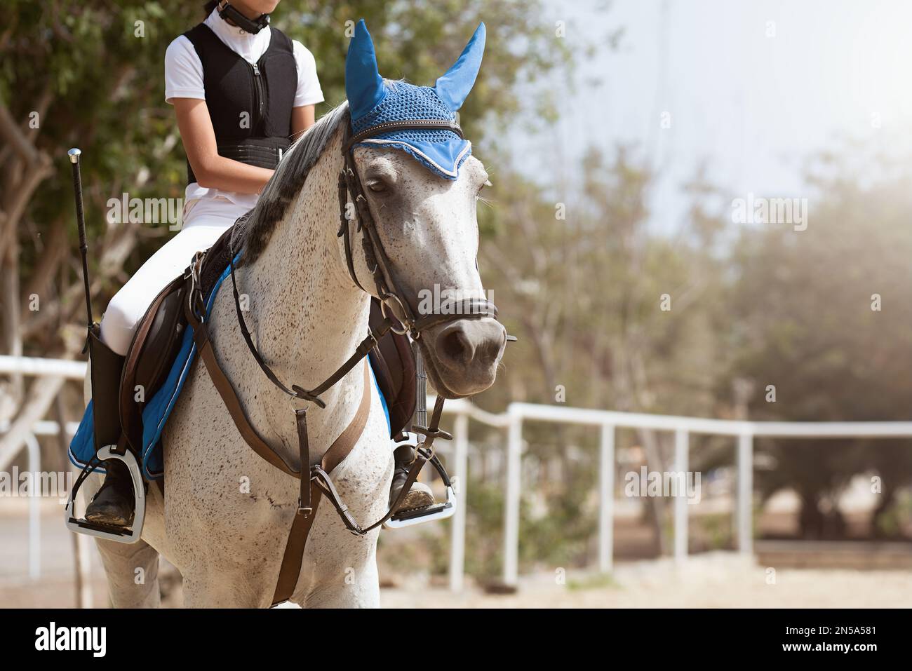 Kid ride horse. Horseback riding lesson for young jockey in equestrian ...