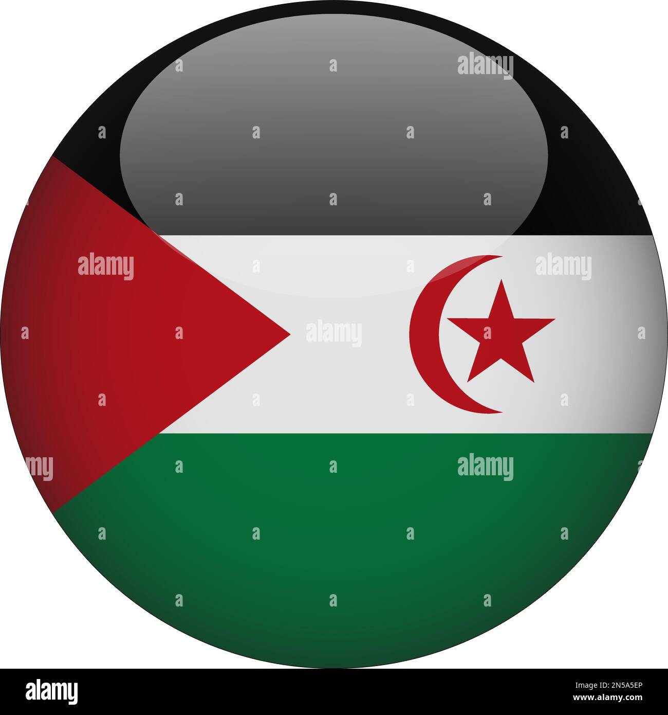 Sahrawi arab democratic republic flag map hi-res stock photography and ...