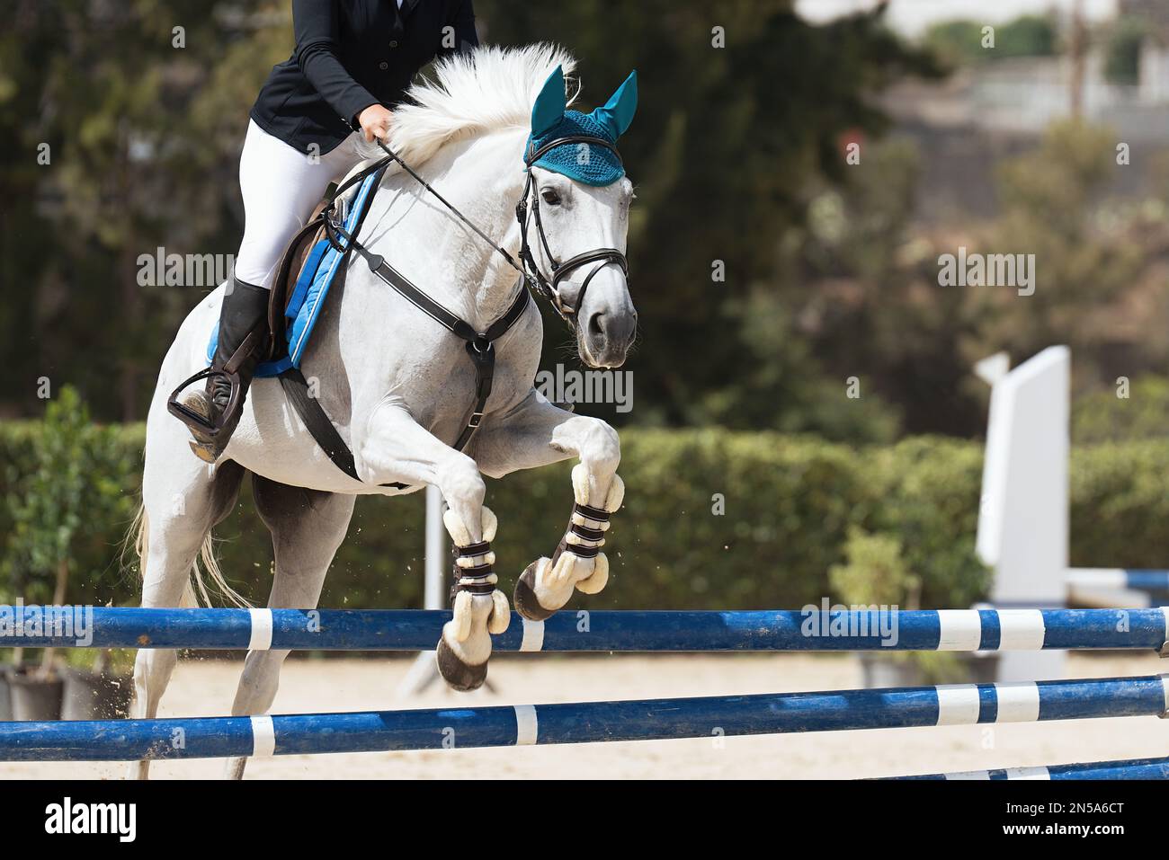 Sport horse jumping over a barrier on a obstacle course, rider in ...