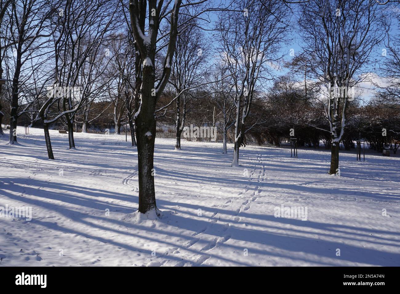 Park in winter at daytime Stock Photo - Alamy