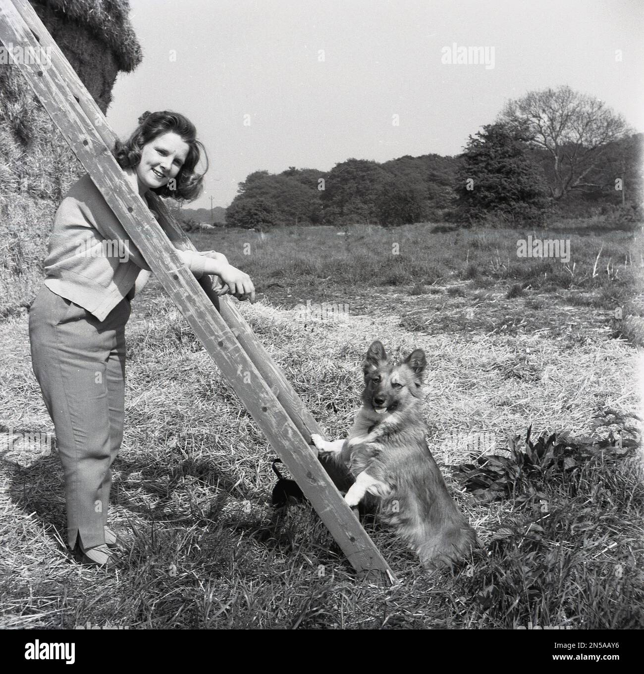 Young woman 1963 black and white hi-res stock photography and images ...