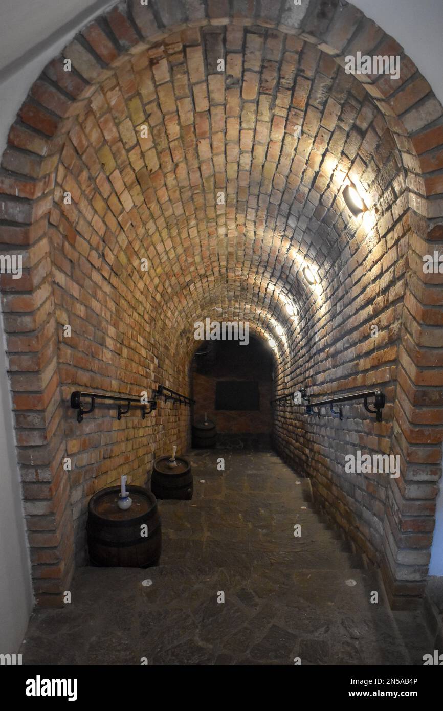 Small and old wine cellar with many full bottles. Front view from ...