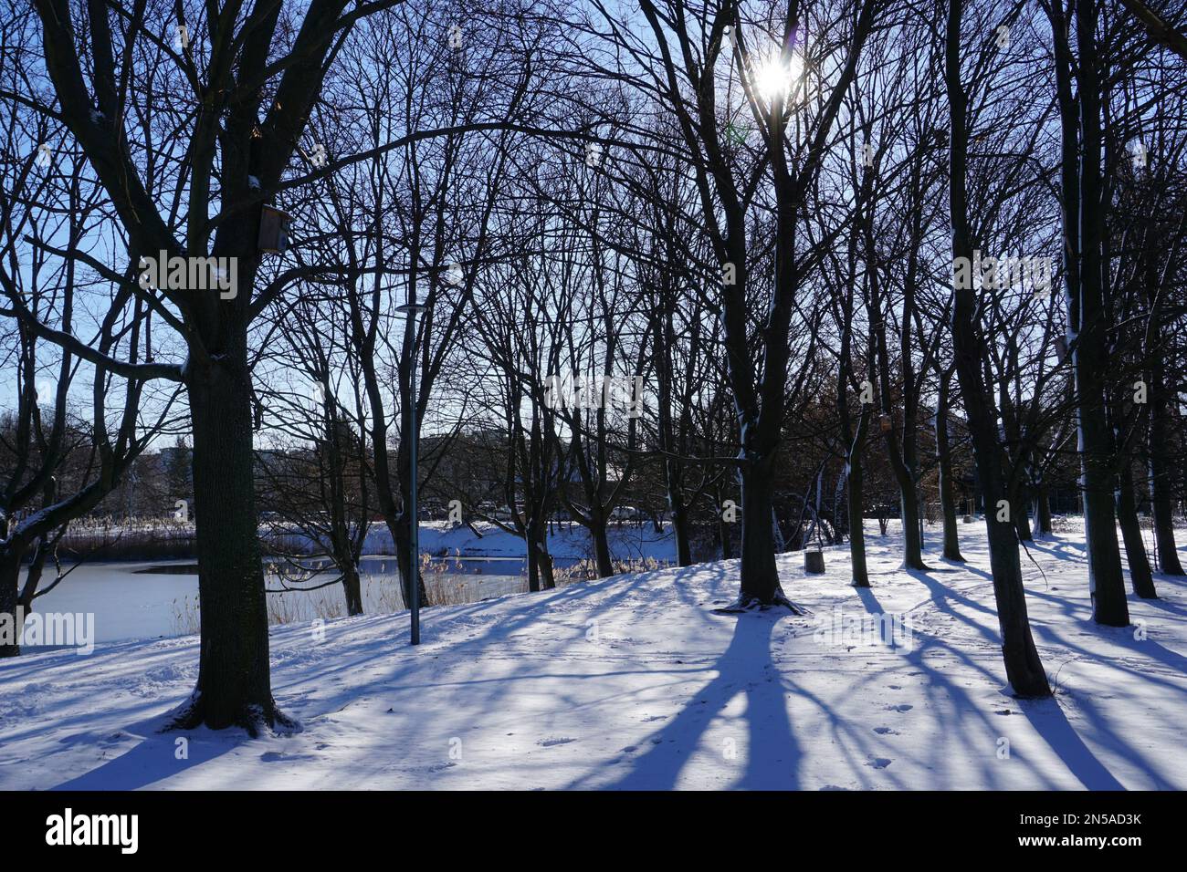 Sun casting shadow in snow hi-res stock photography and images - Alamy