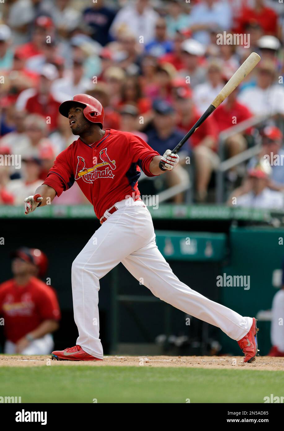 St. Louis Cardinals' Xavier Scruggs watches his two-run home run during ...