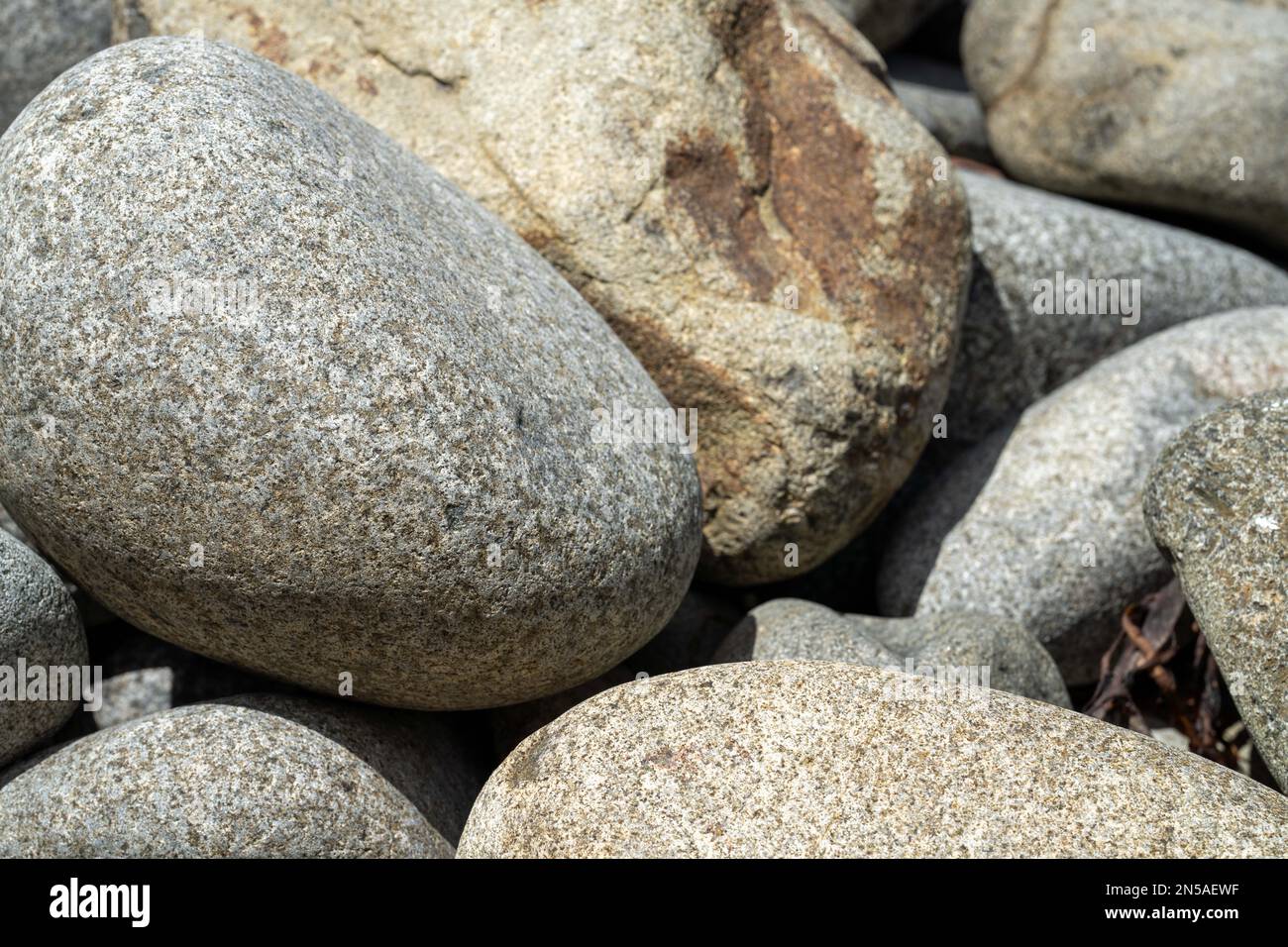 pebbles on a beach in tasmania australia in summer Stock Photo - Alamy