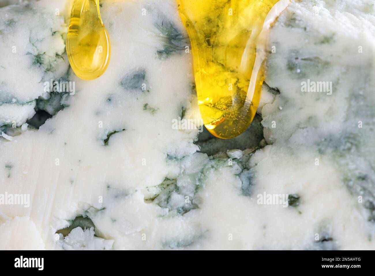 Macro shot of blue cheese dorblu or gorgonzola with honey. Close up ...