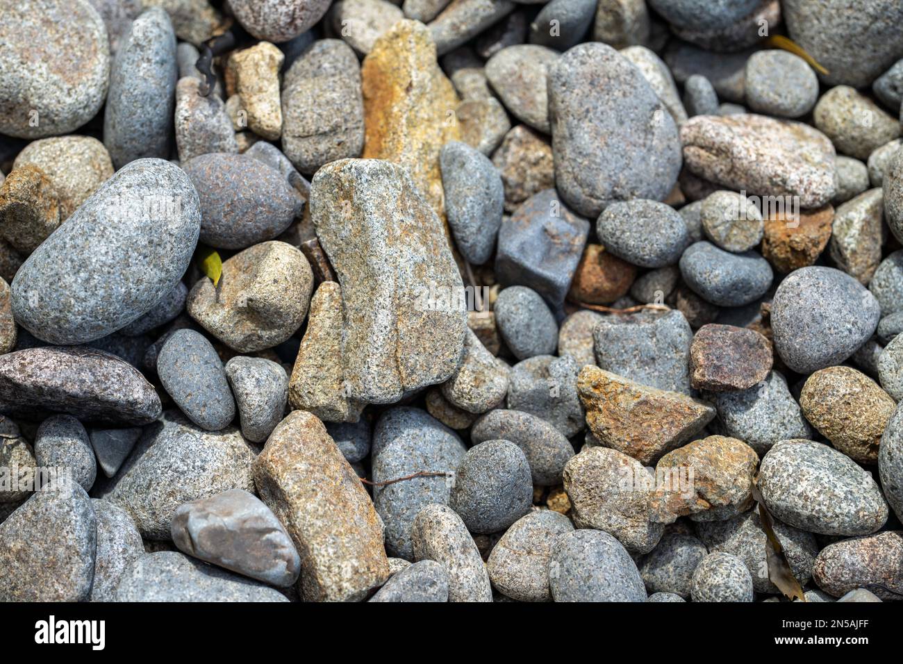 round rocks and pebbles on the beach in australia Stock Photo - Alamy
