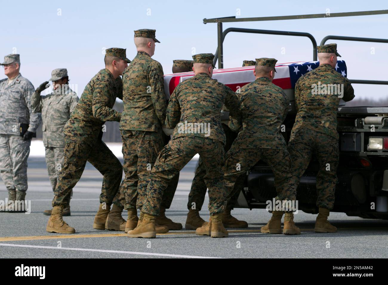 A Marine carry team, carries the transfer case containing the remains ...