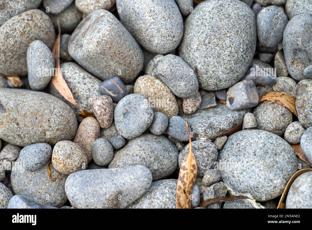 round rocks and pebbles on the beach in australia Stock Photo - Alamy