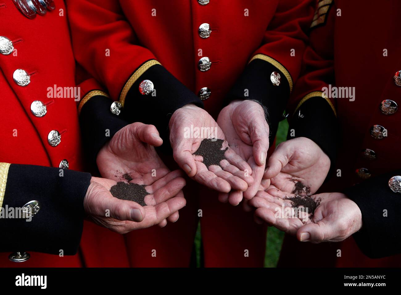 Chelsea Pensioners, from left, Paddy Fox, 68, John Honey, 73, and Jim ...