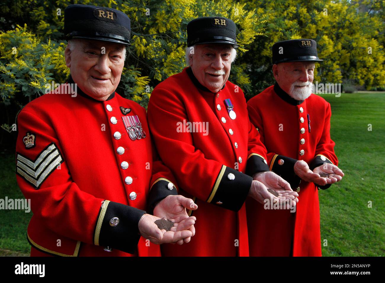 The making of a symbolic memorial meadow of poppies, with Chelsea ...