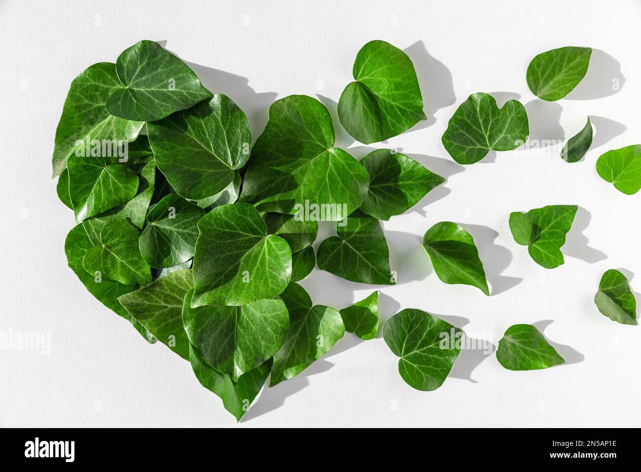 Environmental , Green energy, eco concept. Green leaves in heart shape ...
