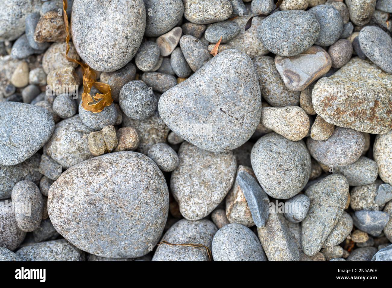 round rocks and pebbles on the beach in australia Stock Photo - Alamy