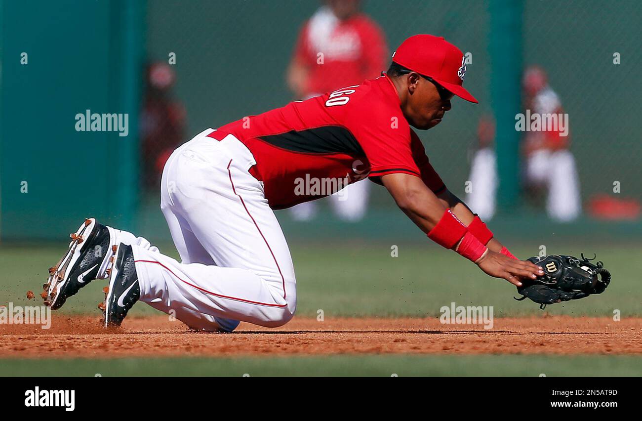 Cincinnati Reds third baseman Ramon Santiago dives to stop a Seattle ...