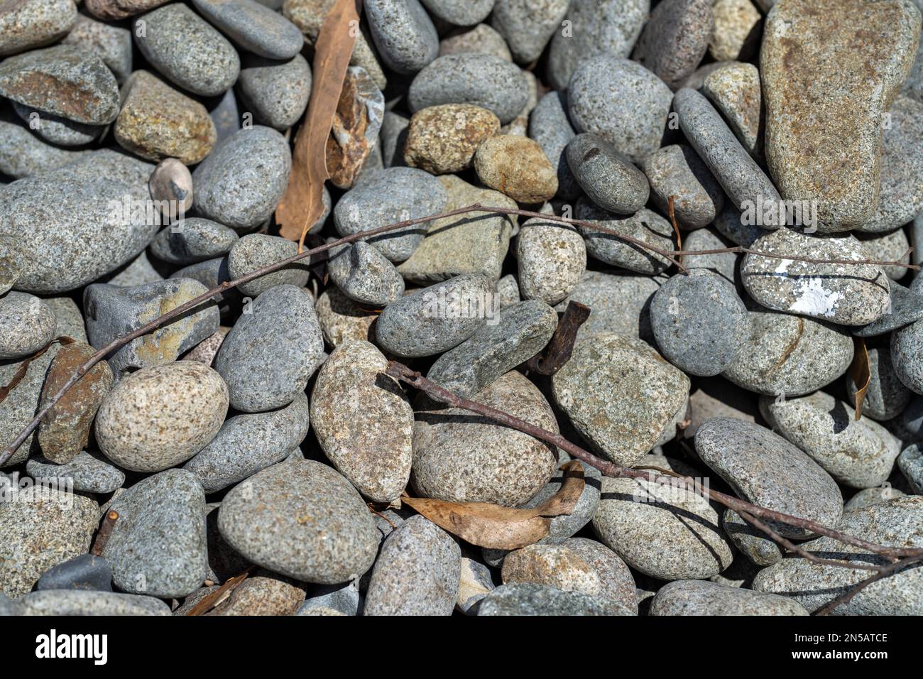 round rocks and pebbles on the beach in australia Stock Photo - Alamy