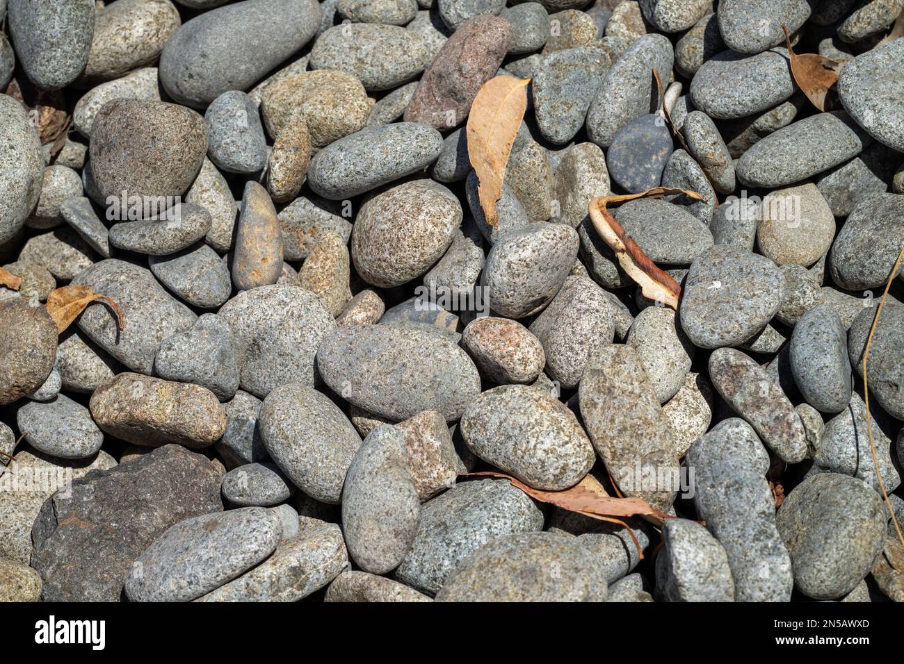 round rocks and pebbles on the beach in australia Stock Photo - Alamy