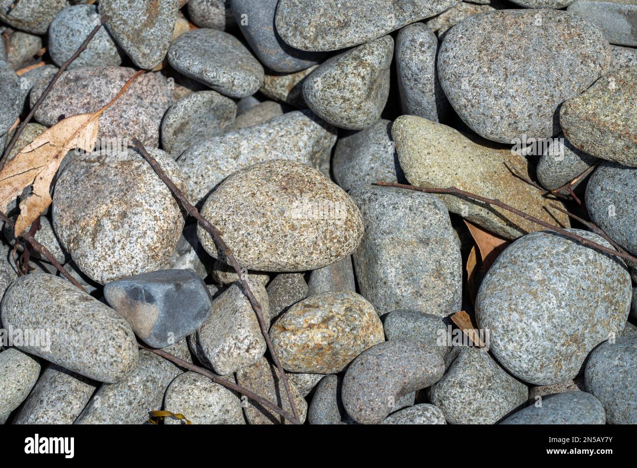 round rocks and pebbles on the beach in australia Stock Photo - Alamy