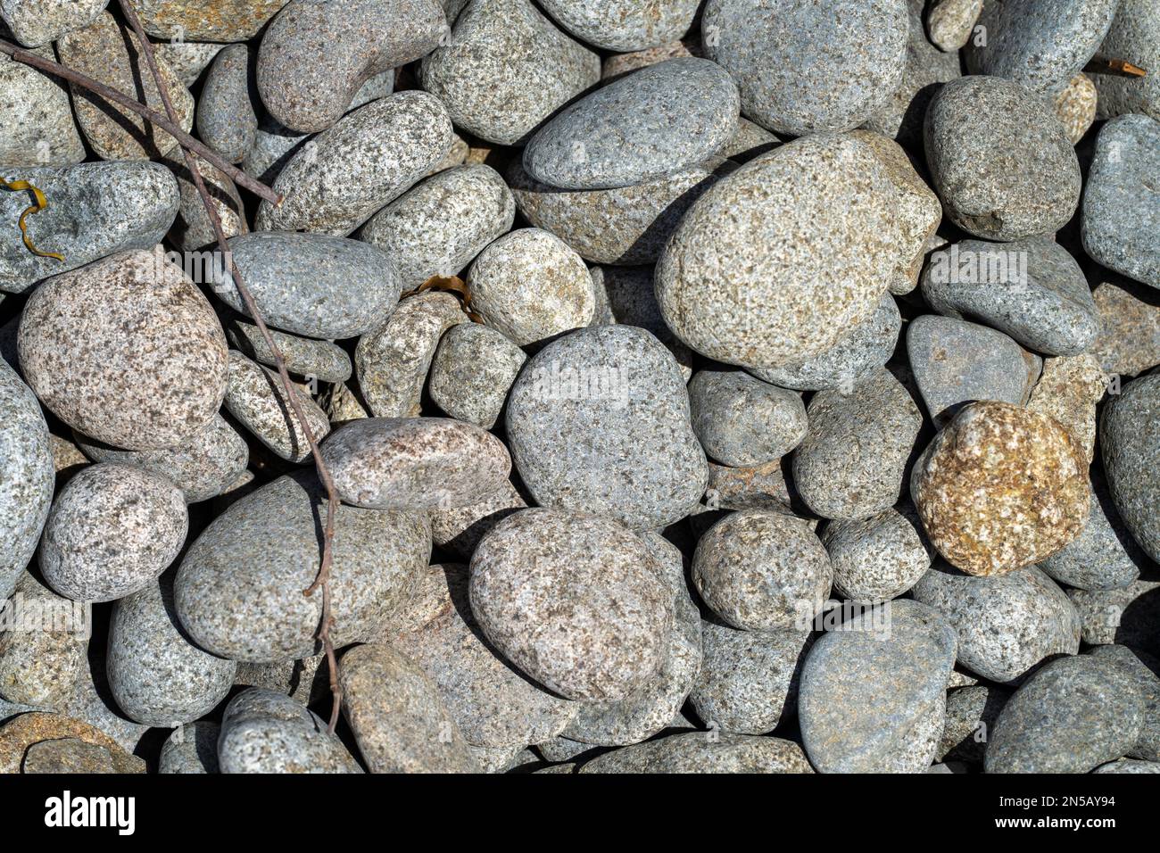 round rocks and pebbles on the beach in australia Stock Photo - Alamy