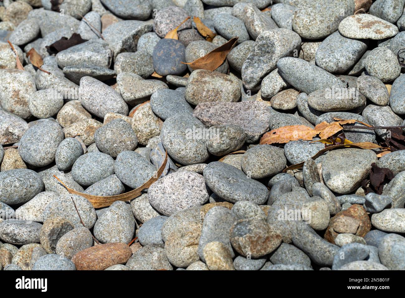 round rocks and pebbles on the beach in australia Stock Photo - Alamy