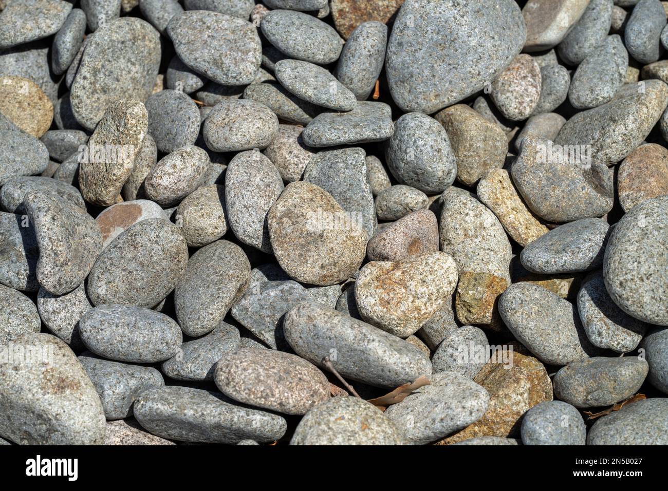 round rocks and pebbles on the beach in australia Stock Photo - Alamy