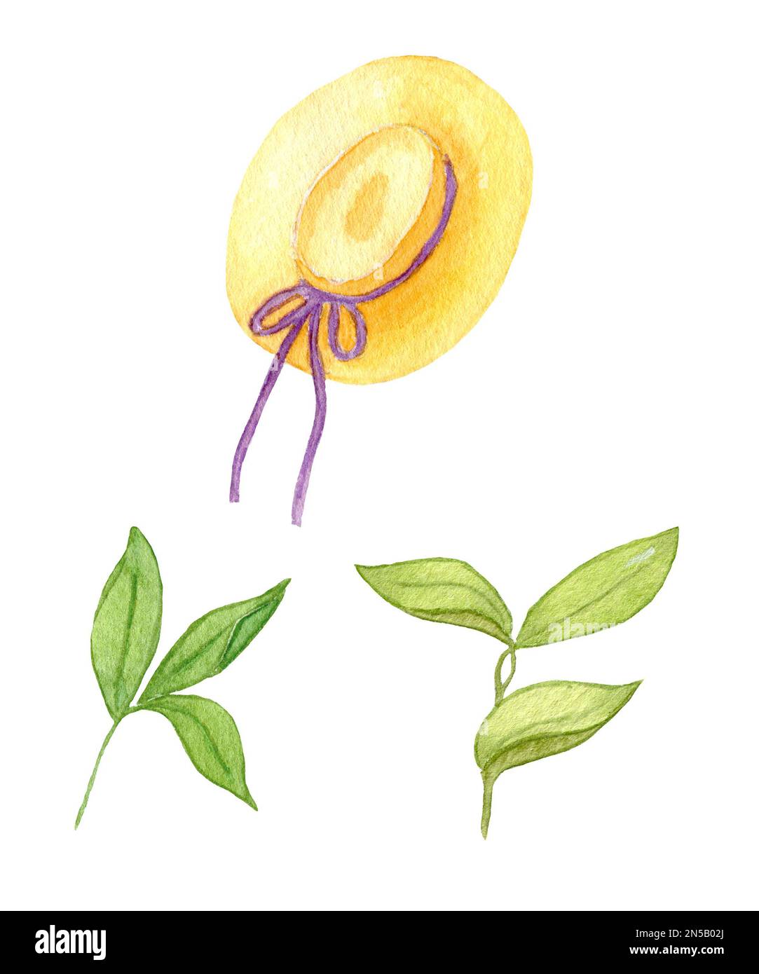 Watercolor Women's Hat with Ribbons and Green Leaves. Ribbon sun hat ...