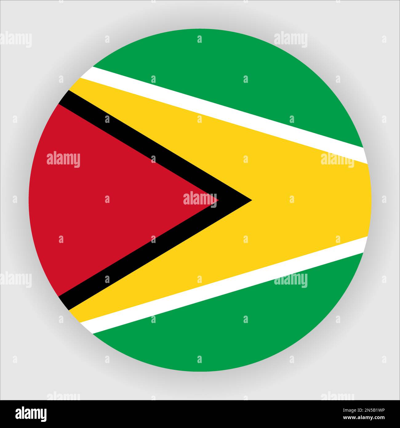 Guyana Flat Rounded Flag Icon Button Vector Stock Vector Image And Art