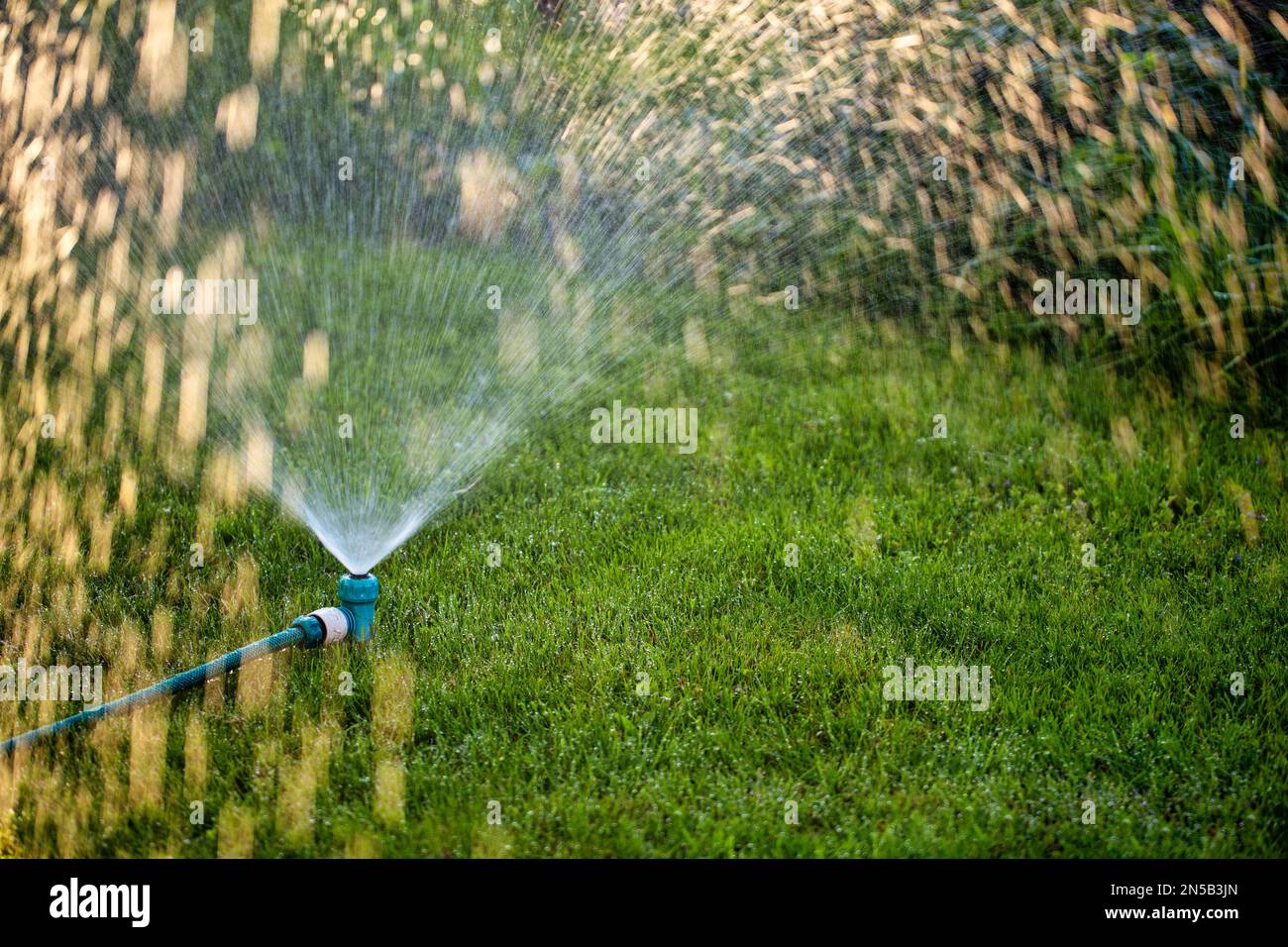 Lawn sprinkler spaying water over green grass. Irrigation system in the ...