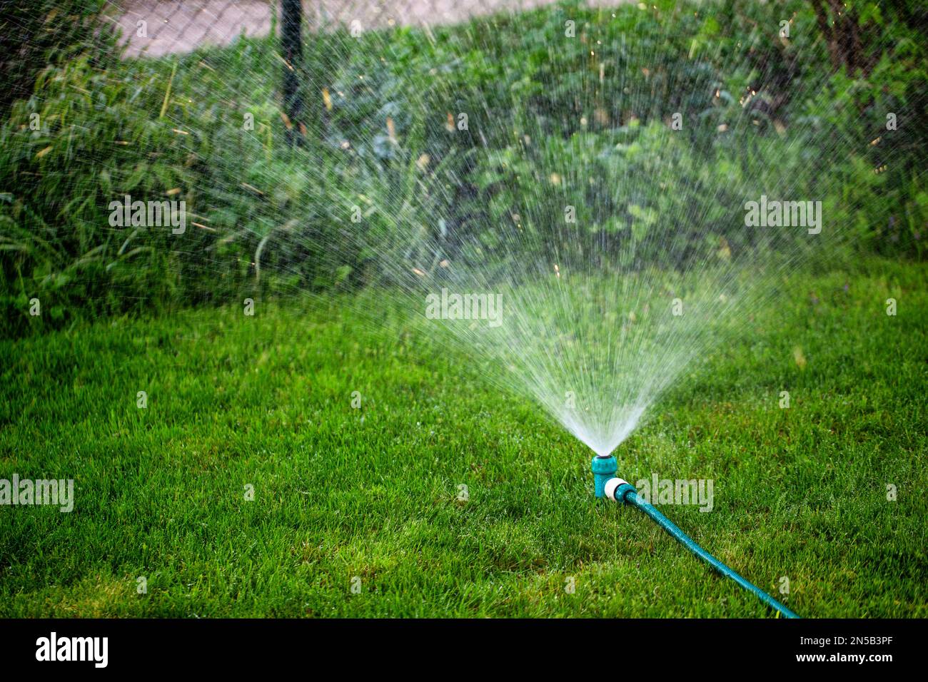 Garden Lawn sprinkler in action watering grass Stock Photo - Alamy