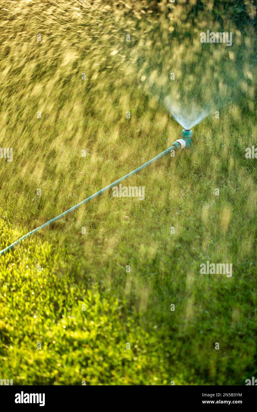 Garden lawn sprinkler hi-res stock photography and images - Alamy