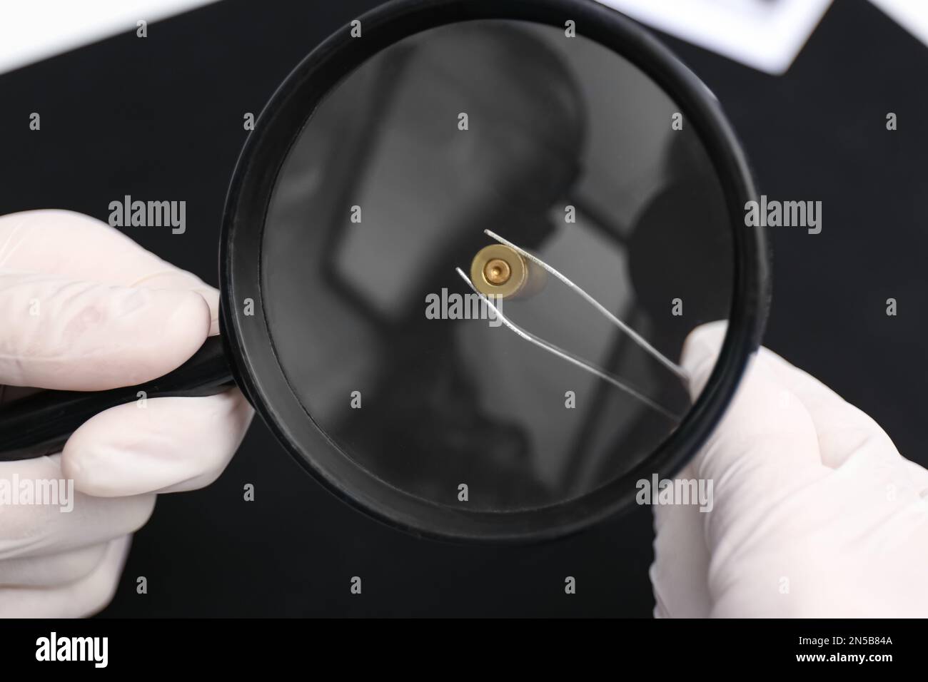 Magnifying glass shell hi-res stock photography and images - Alamy