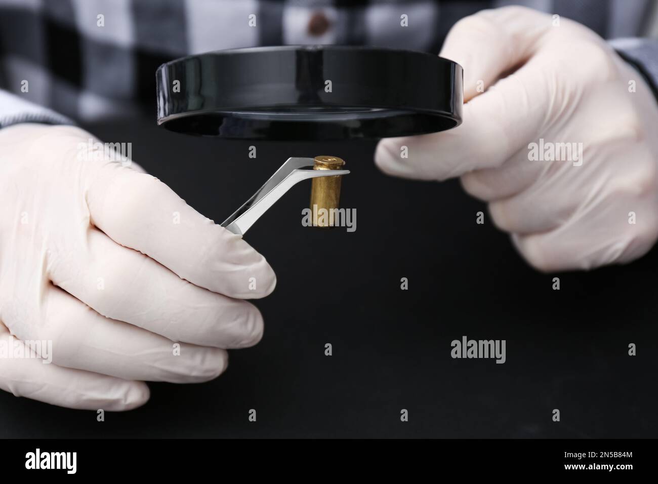 Magnifying glass shell hi-res stock photography and images - Alamy