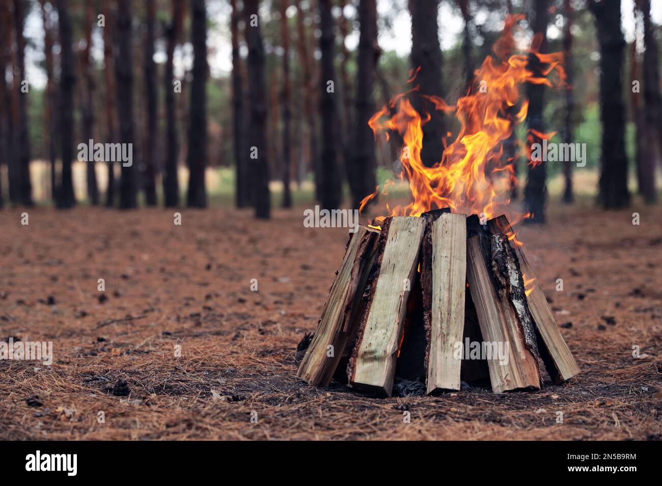 Beautiful bonfire hi-res stock photography and images - Alamy