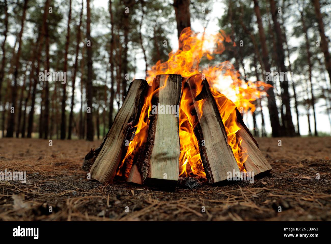 Beautiful bonfire hi-res stock photography and images - Alamy