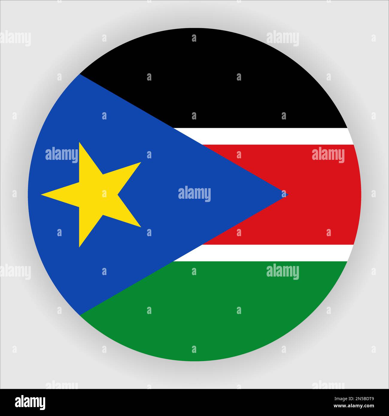 South Sudan Flat Rounded Flag Icon Button Vector Stock Vector Image