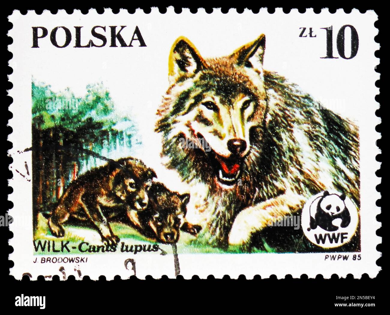 MOSCOW, RUSSIA - FEBRUARY 4, 2023: Postage stamp printed in Poland ...