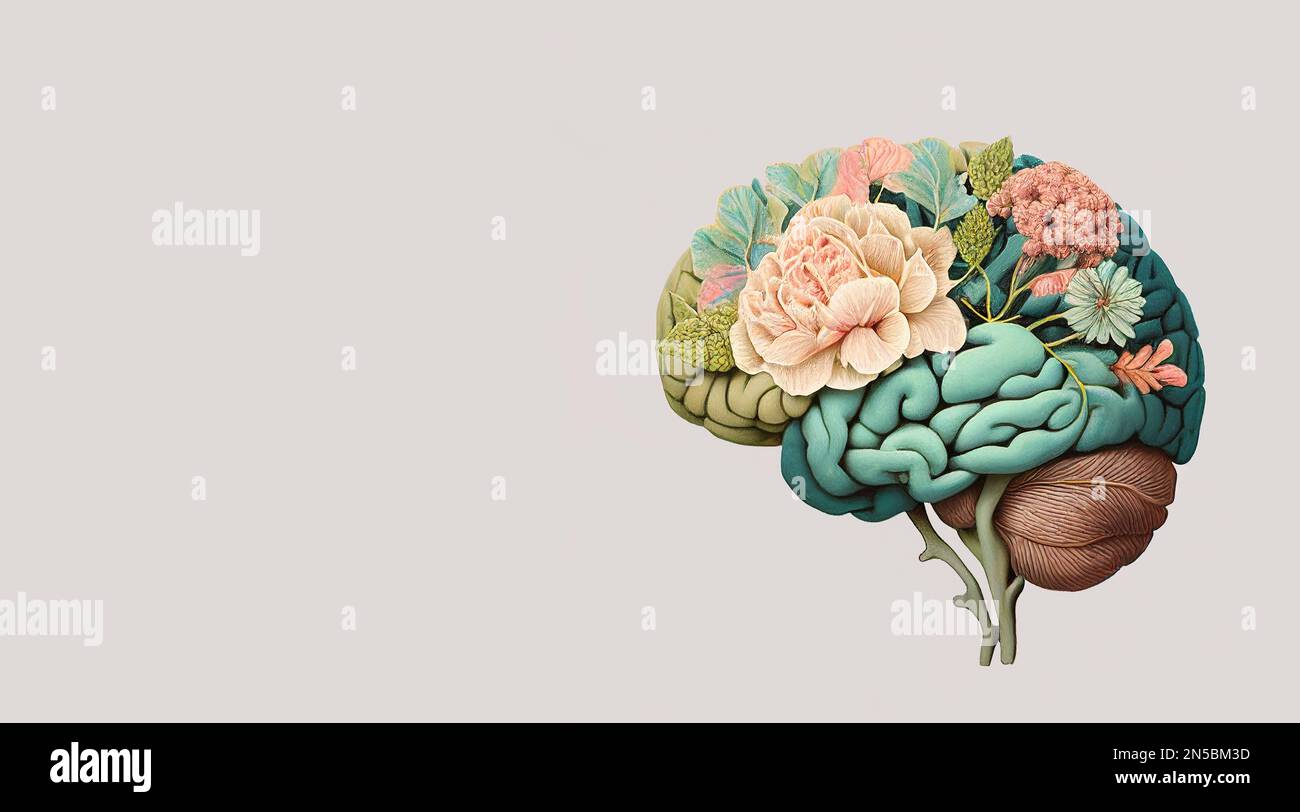 Human brain tree hi-res stock photography and images - Alamy
