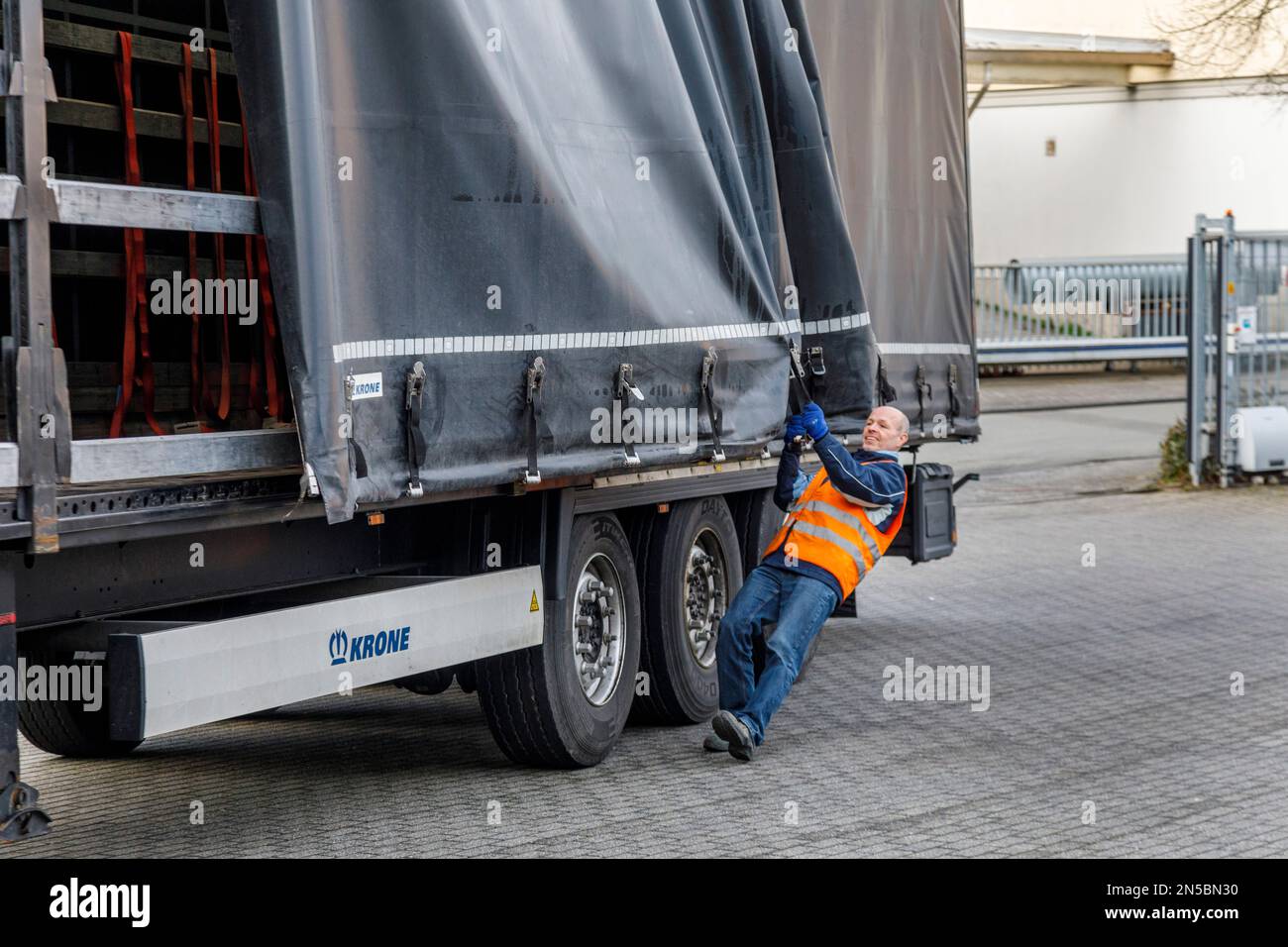 Freight traffic, professional drivers when opening the truck tarpaulin ...