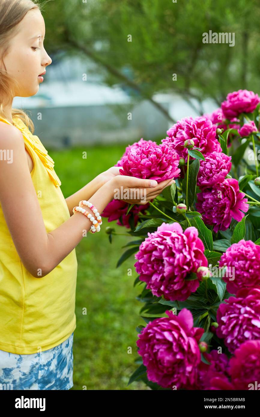Little girl in the garden in bushes of peonies, child touch the flower ...