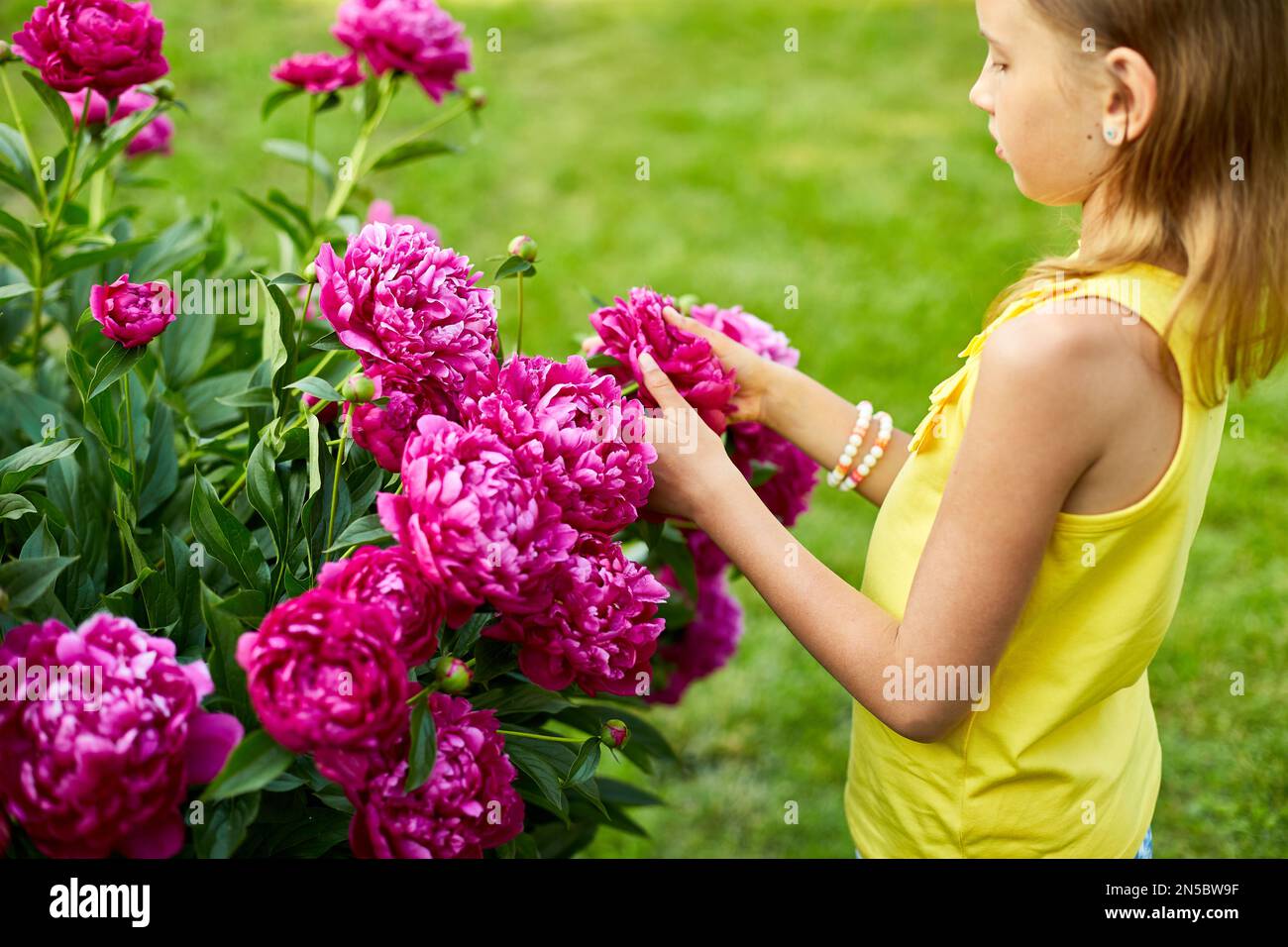 Little girl in the garden in bushes of peonies, child touch the flower ...