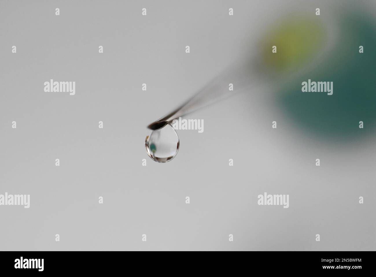 injection, disposable plastic syringe with disposable needle Stock ...