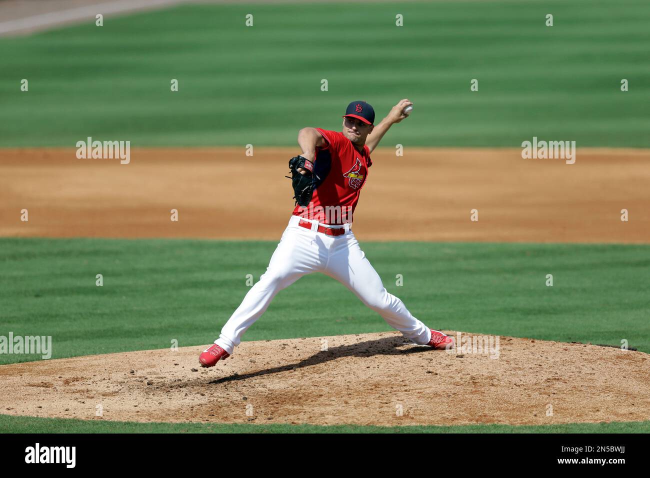 St. Louis Cardinals pitcher Tyler Lyons throws during the fourth inning ...