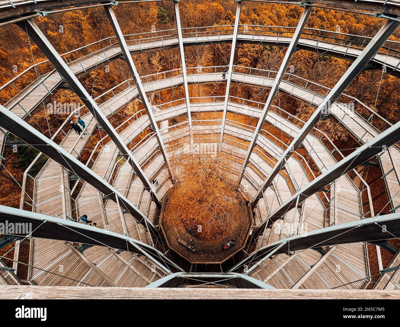 Baumwipfelpfad steigerwald hi-res stock photography and images - Alamy