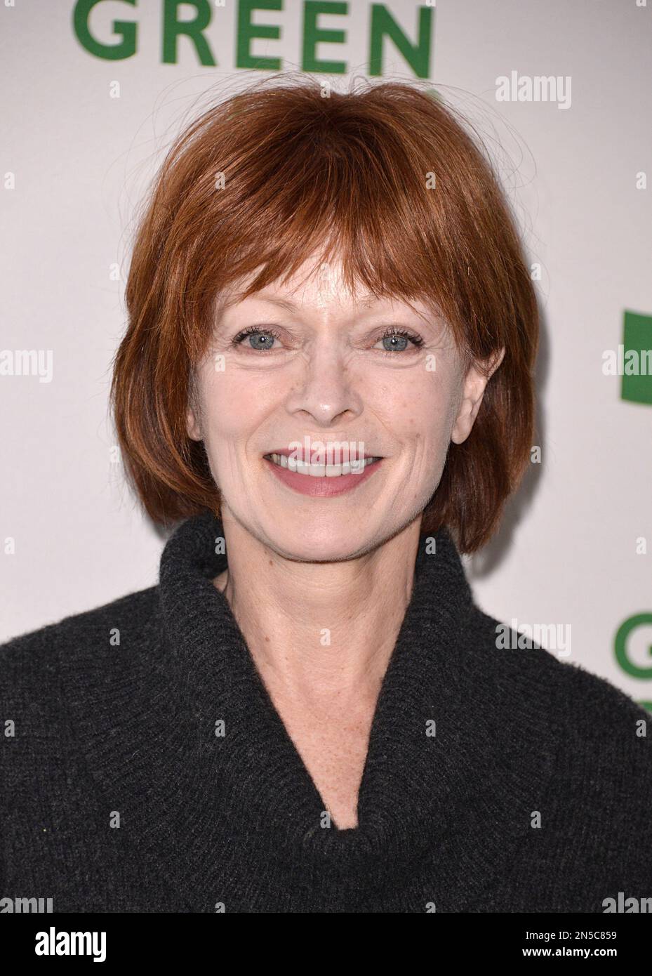 Actress Frances Fisher arrives at the 11th Annual Global Green USA ...