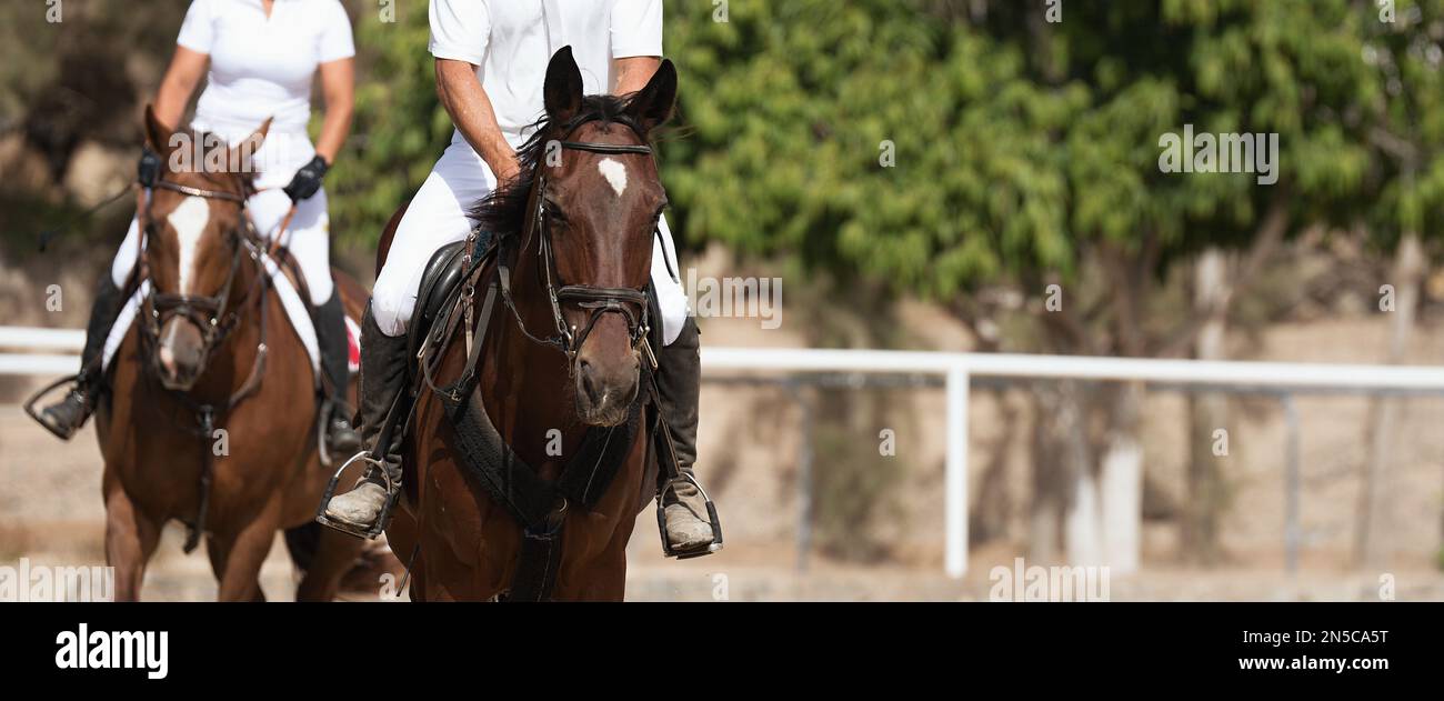 Horseback riding, equestrian young couple is riding a horse Stock Photo ...