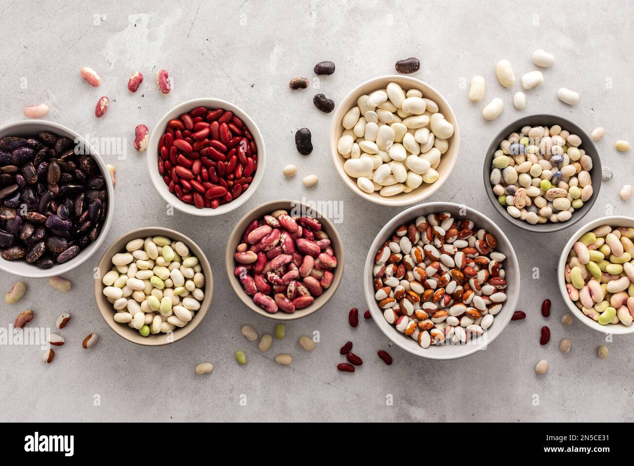 Different types of beans in bowls, economically important legume, top ...